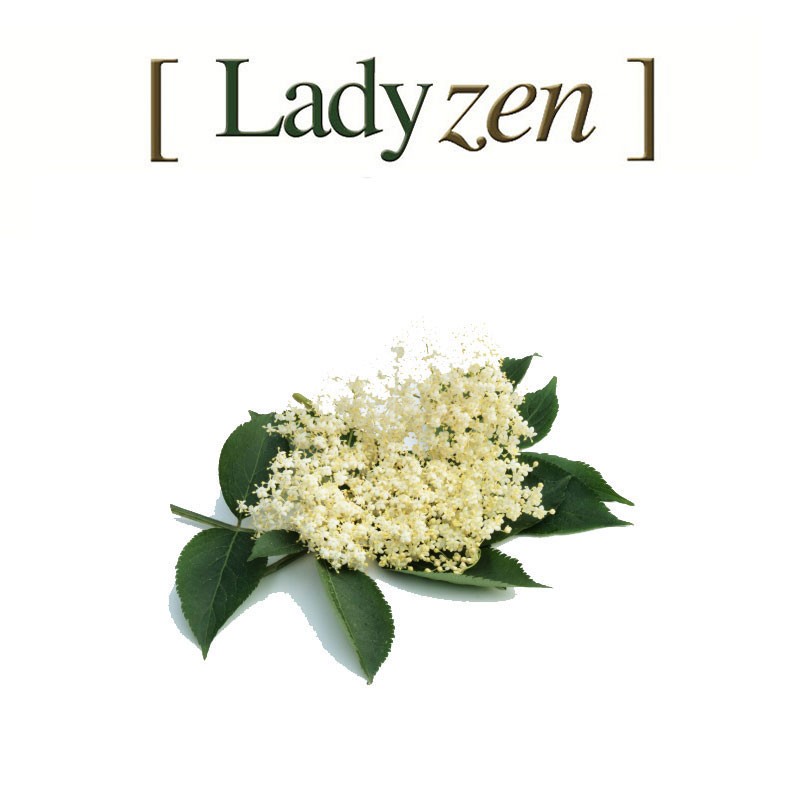 Lady Zen 100ml